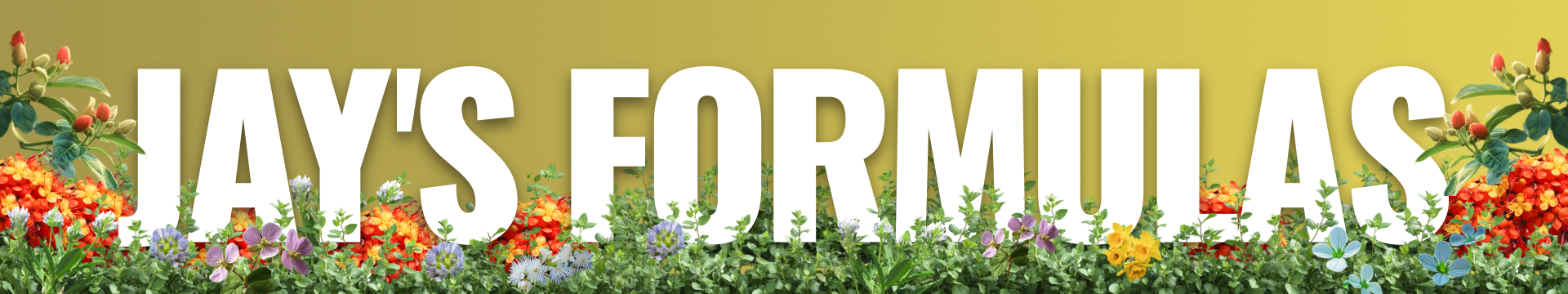 Jay's Ayurvedic Formulas