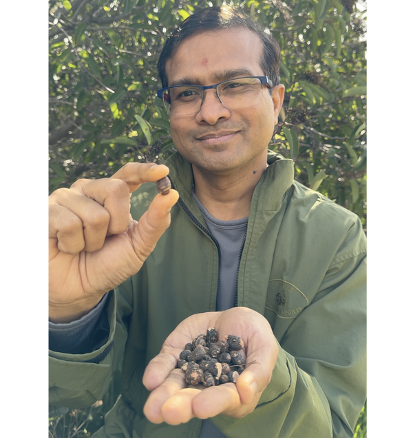 Musta Powder| Supplement for Healthy Menstrual Cycle Support | Athreya ...